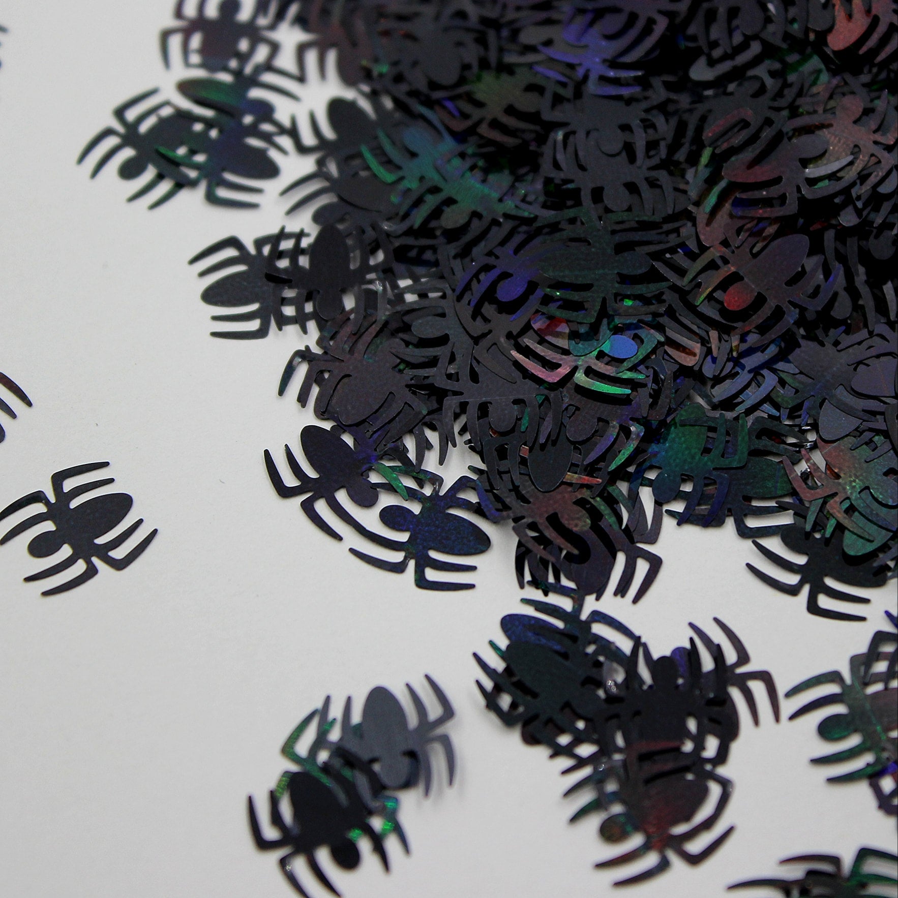 Spider | Lauralea Creatives